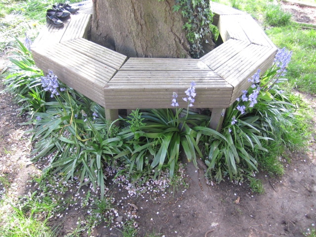 What Are Forest School Activities? An Illustrated Guide – Early Impact ...