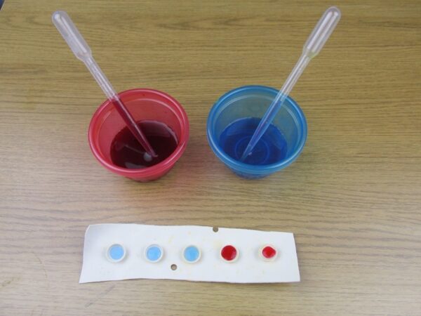 16 Amazing Children’s Pipette Activities (With Pics) – Early Impact ...