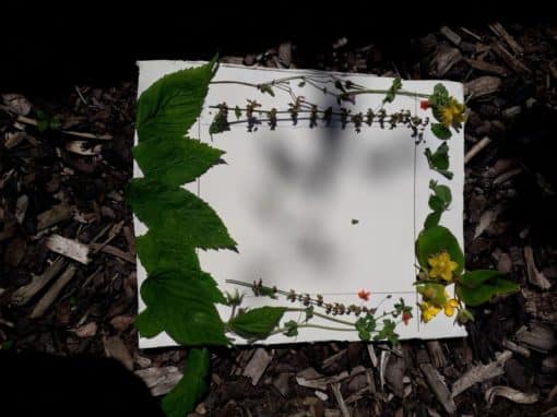 12 Forest School Craft Ideas – Early Impact Learning