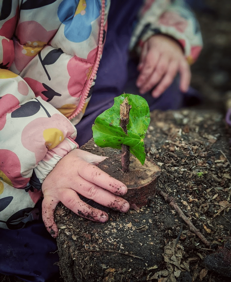 31 Rotation Schema Activities (Definition + How To Support It) – Early ...