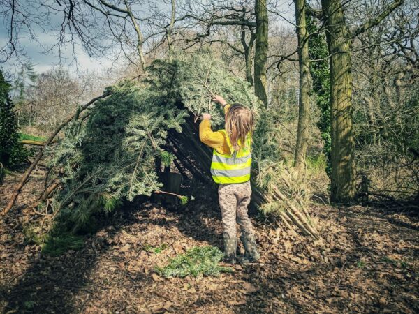 15 Fabulous Forest School Activities For Toddlers – Early Impact Learning