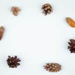 Transient Art – Definition, Examples, Activities – Early Impact Learning